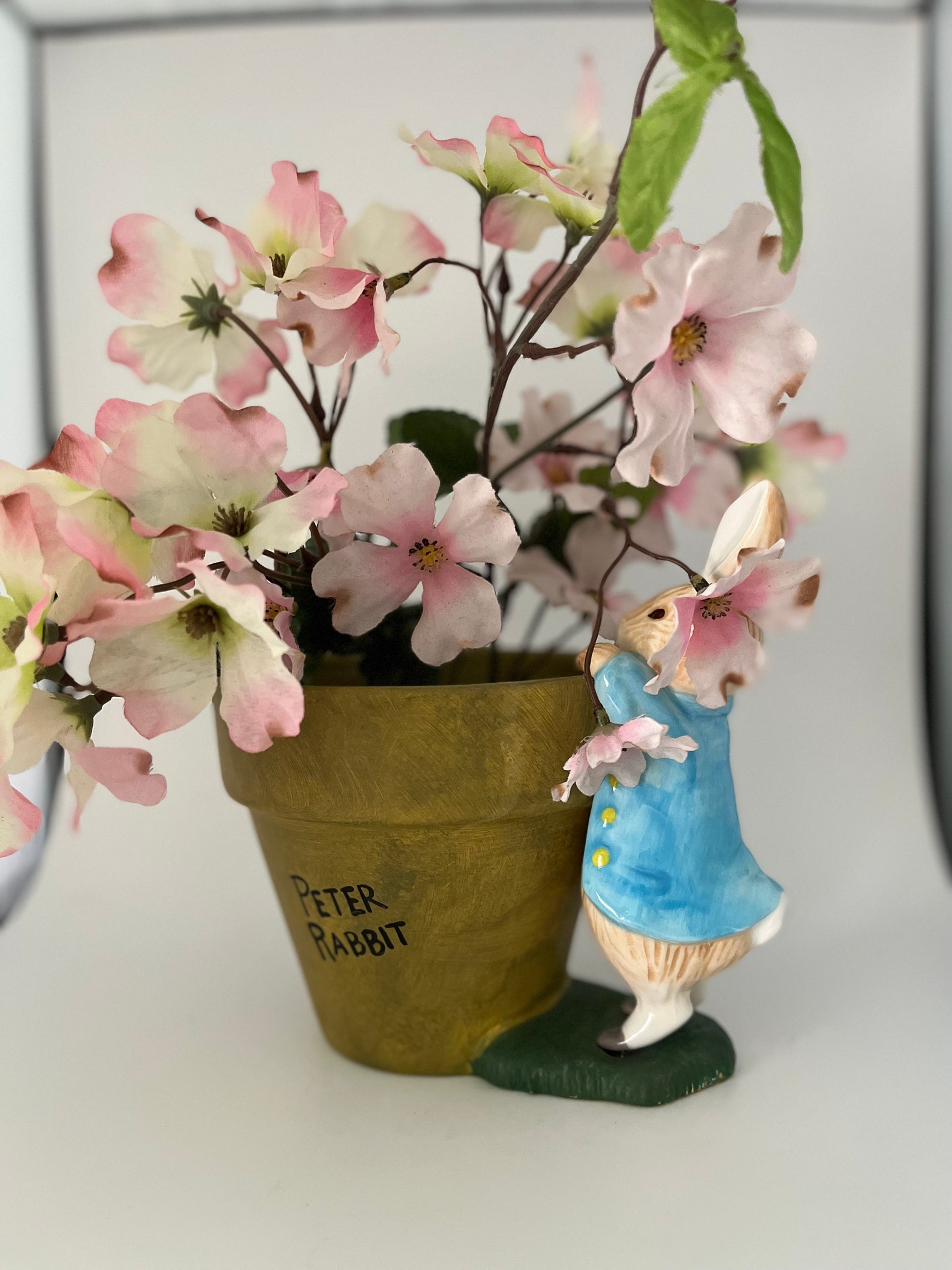 Beatrix Potter Peter Rabbit Flower Pot - Etsy