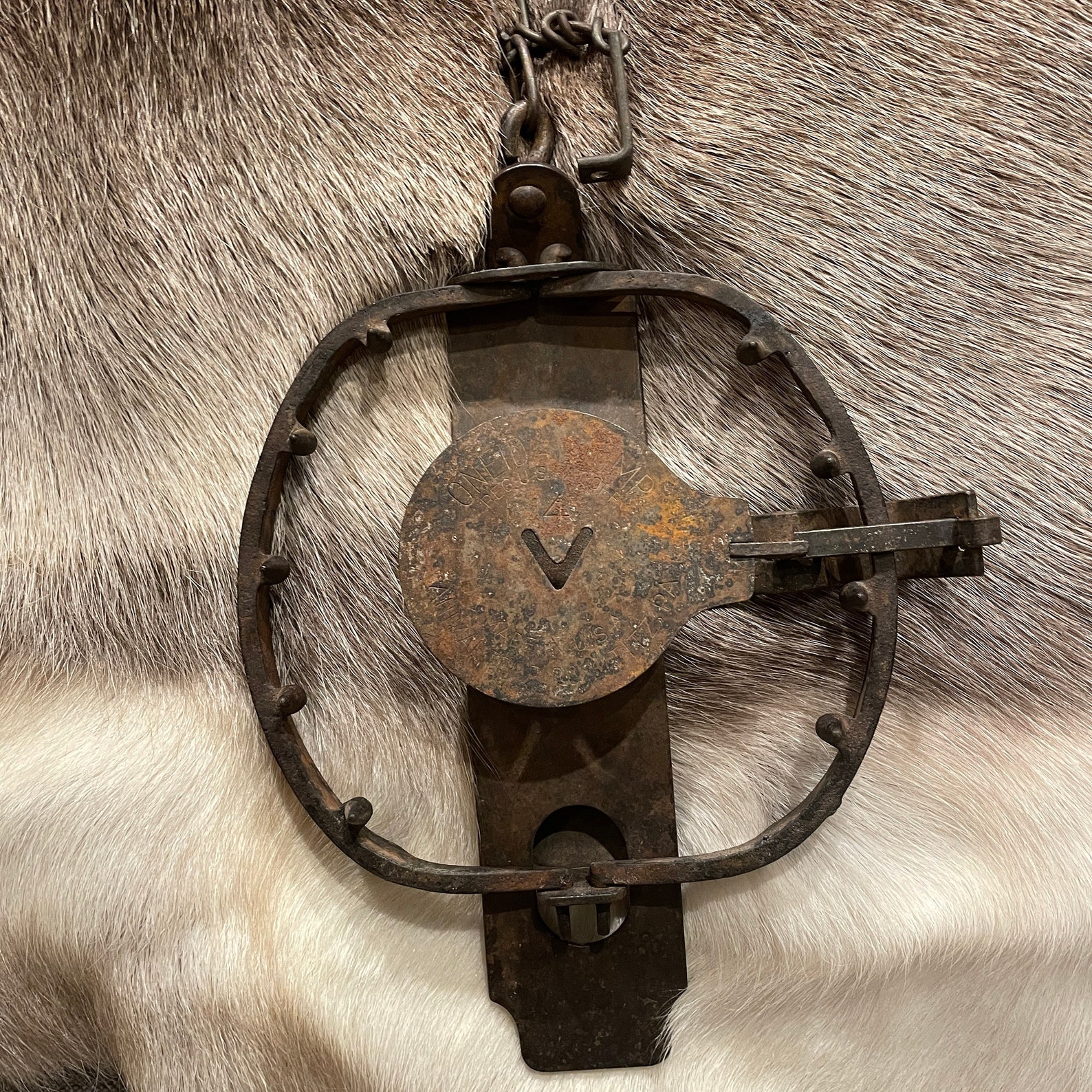 Antique Oneida Victor 14 Jump Trap w/Teeth | Etsy