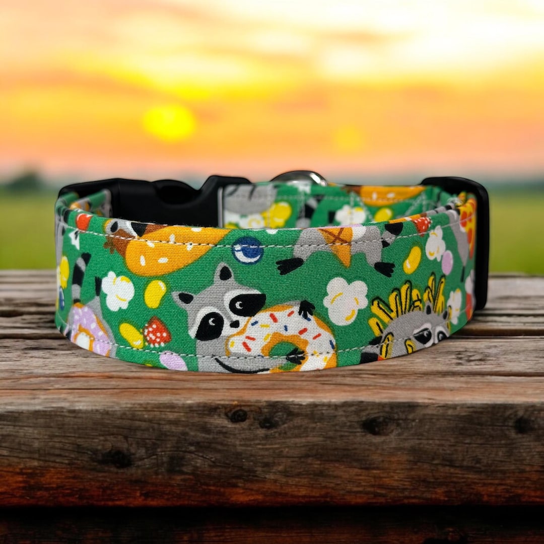 Raccoon Junk Food Dog Collar: Handmade Adjustable Side Release, Funny ...