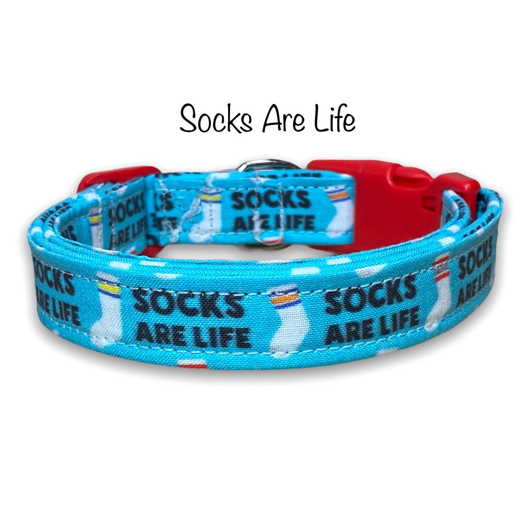 Socks Are Life Dog Collar, Funny Dog Collar, Adjustable, Washable, Eco ...
