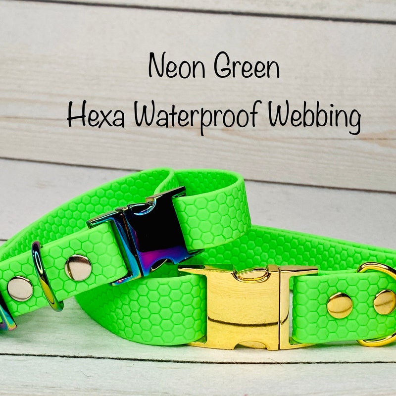 Green Dog Collar - Etsy