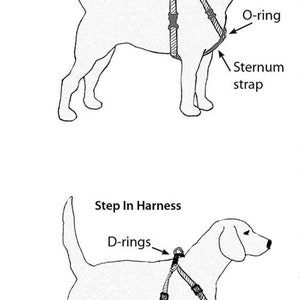 Snake Dog Harness and Leash Set, Standard Roman Harness, Step in ...