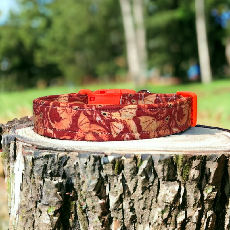 Dragon Dog Collar - Etsy