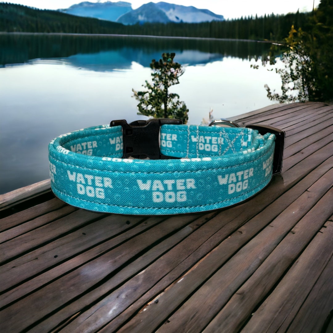 Water Dog, Dog Collar, Dock Diving Fan Dog Collar, Side Release ...