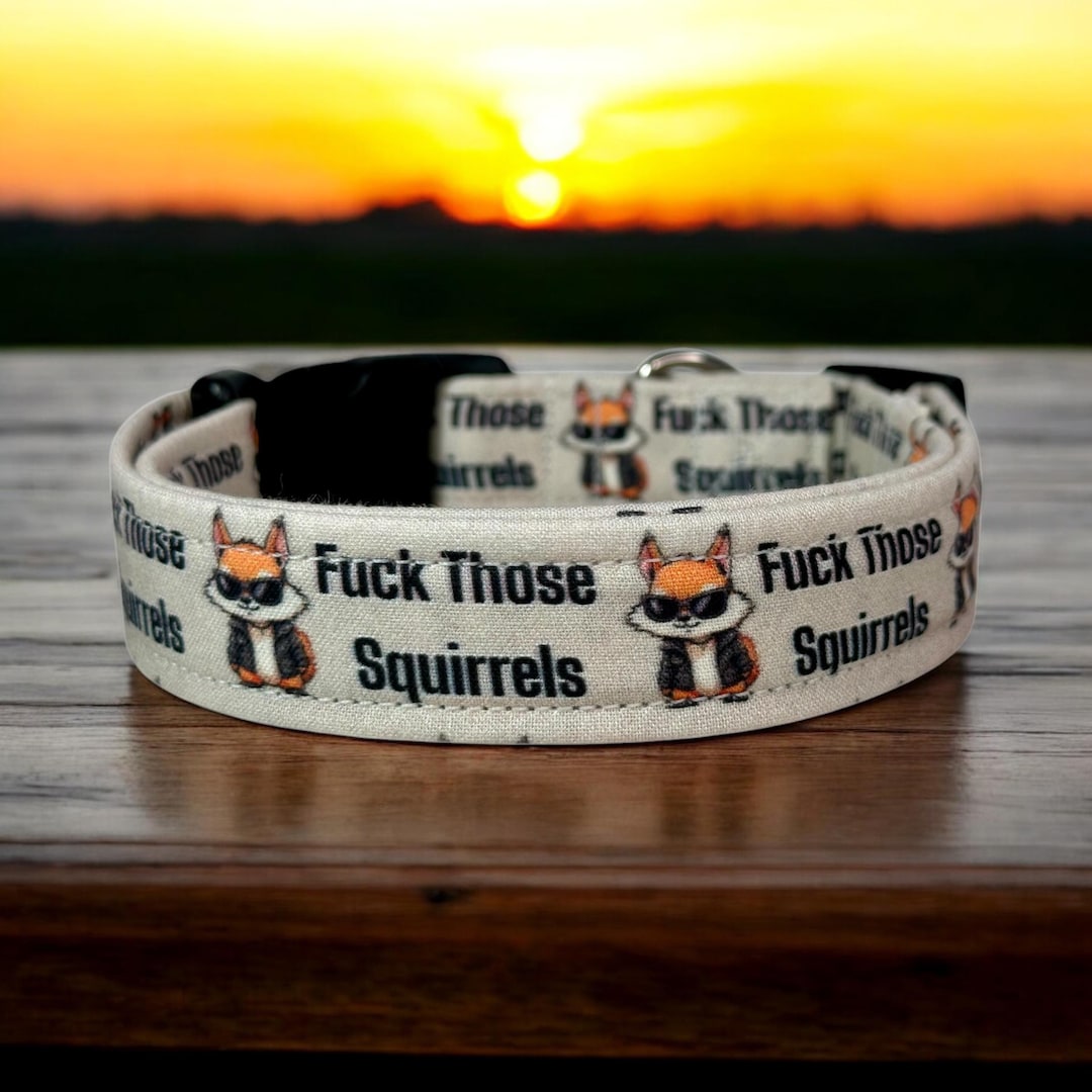 Funny Dog Collar: "fuck Those Squirrels" - Handmade Washable Cotton ...