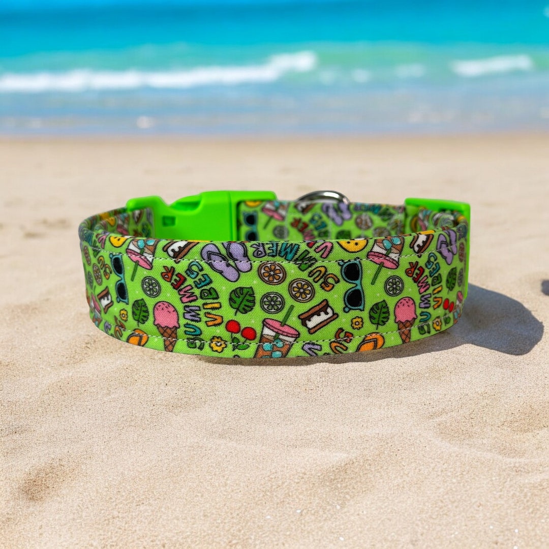 Summer Vibes Dog Collar, Funny Dog Collar, Dog Collar, Collar for Dogs ...