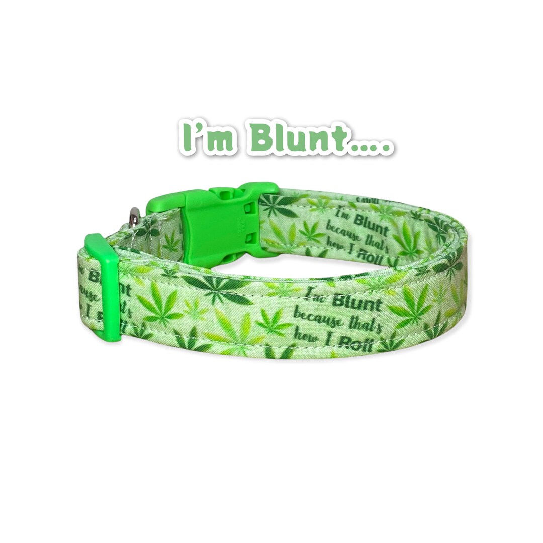 Funny Dog Collar, Cuss Dog Collar, Obscene Dog Collar, Weed Dog Collar ...