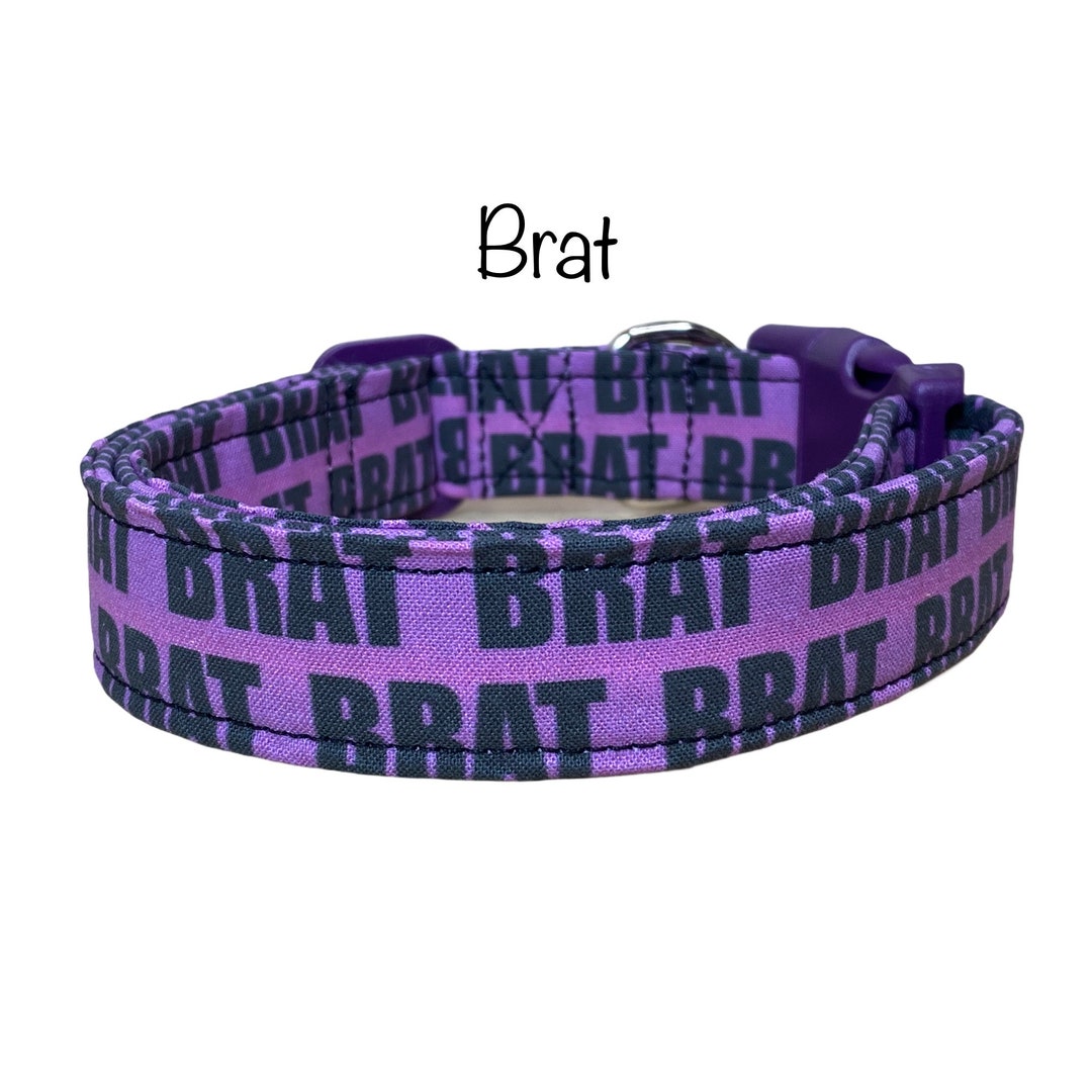 Purple Brat Dog Collar: Funny Adjustable Washable Collar Handmade Funny ...