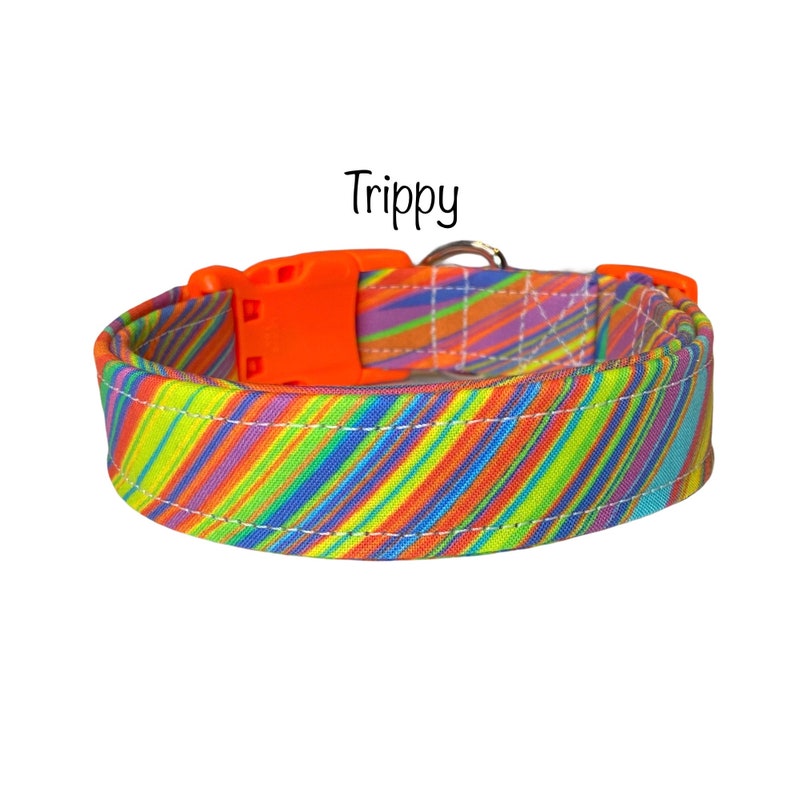 Colorful Dog Collar - Etsy