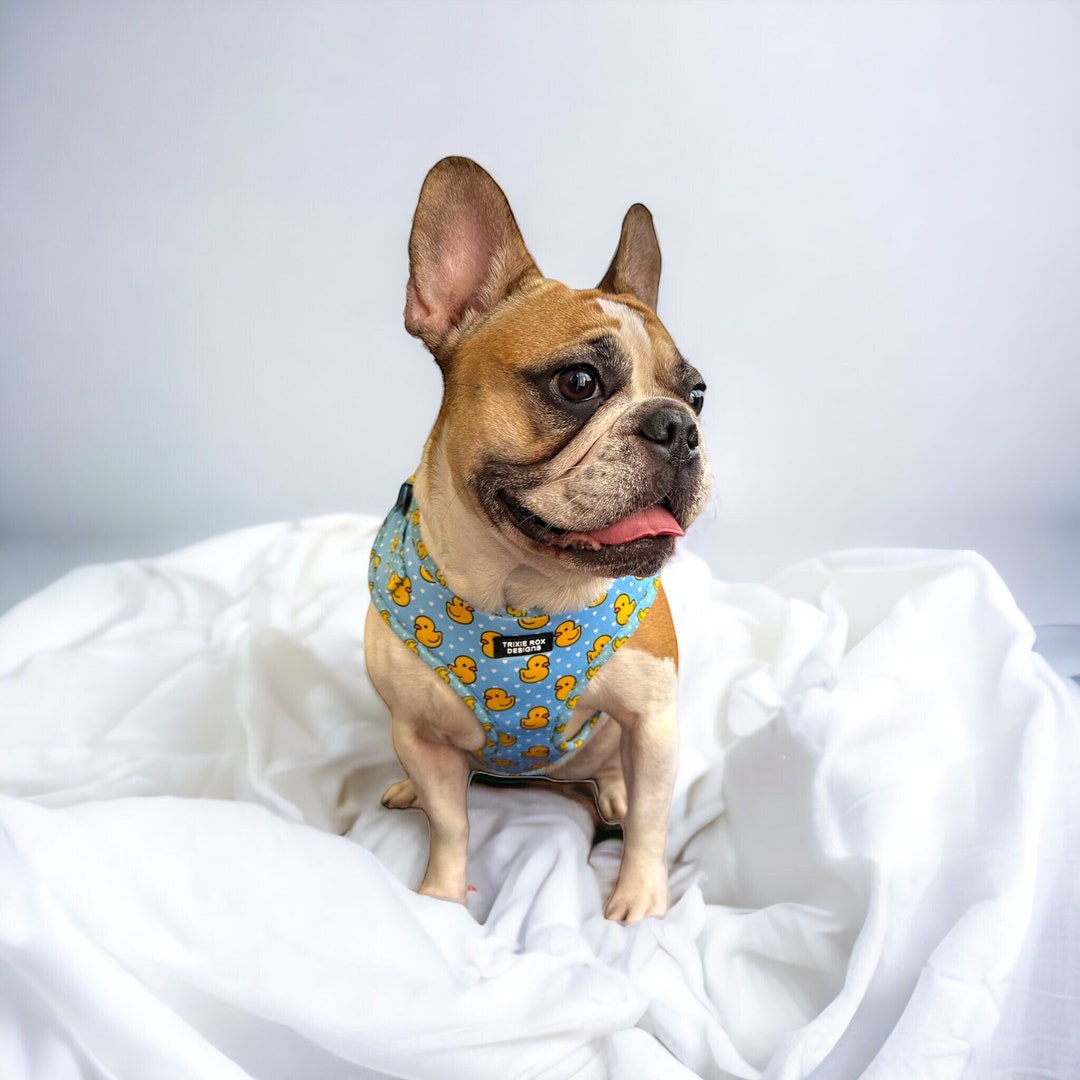 Yellow Duck Dog Harness, Soft Dog Harness, Dog Harness and Leash Set ...