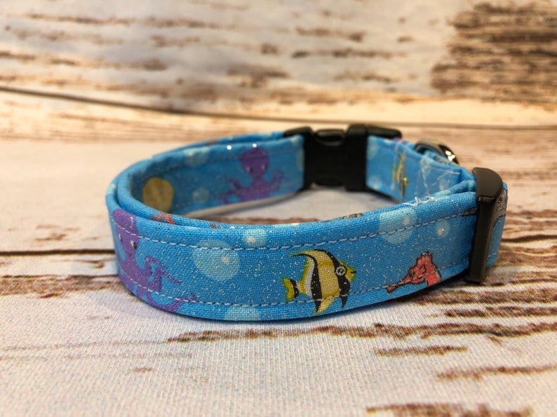 Sea Creature Dog Collar Fish Dog Collar Sparkles Ocean - Etsy