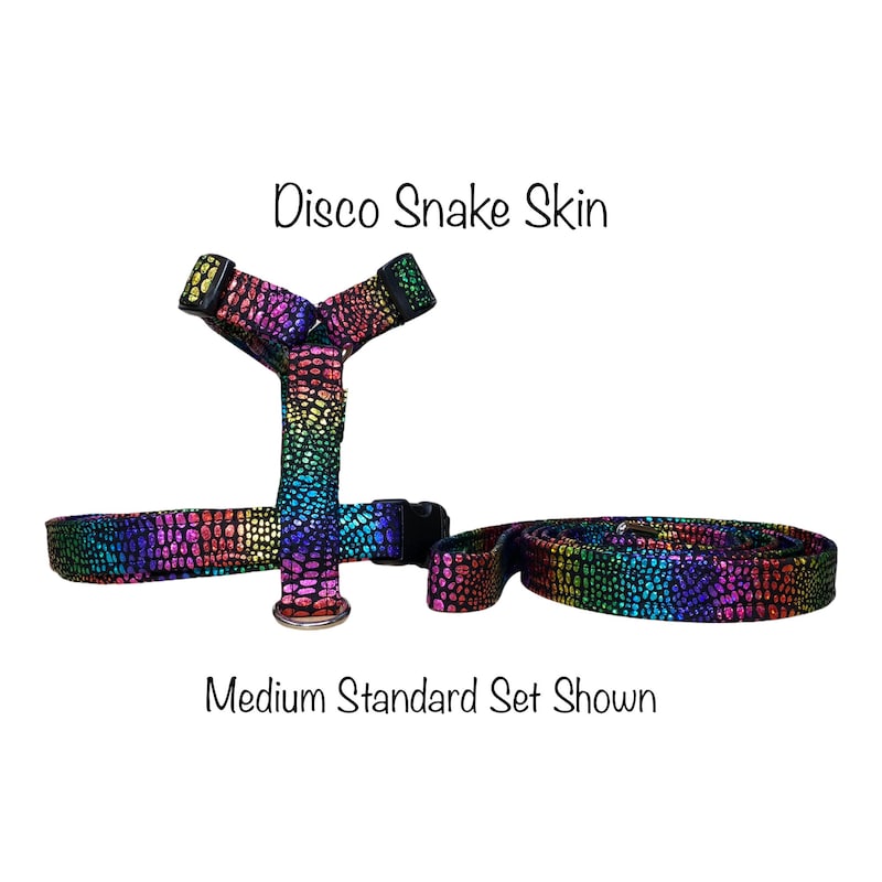 Harnesses for Snake - Etsy
