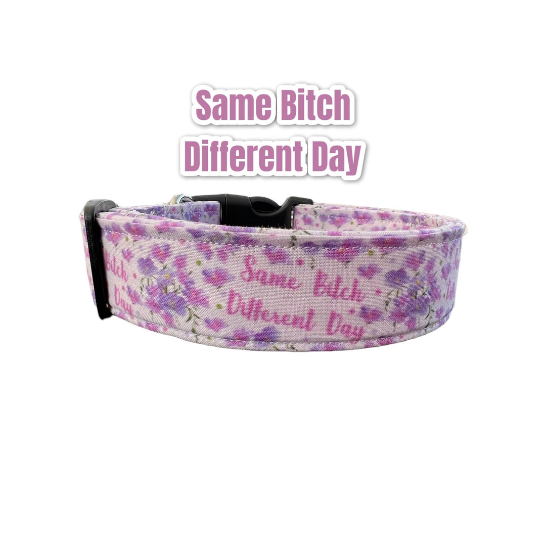 Funny Dog Collar, Cuss Word Dog Collar, Wide Dog Collar, Side Release ...