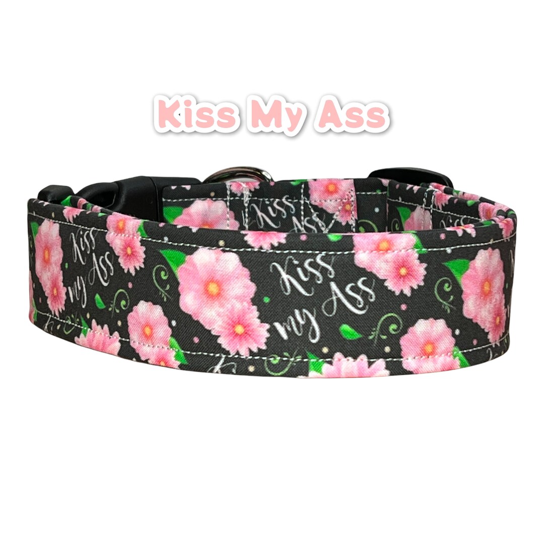 Funny dog collar, cuss word dog collar, wide dog collar, side release ...