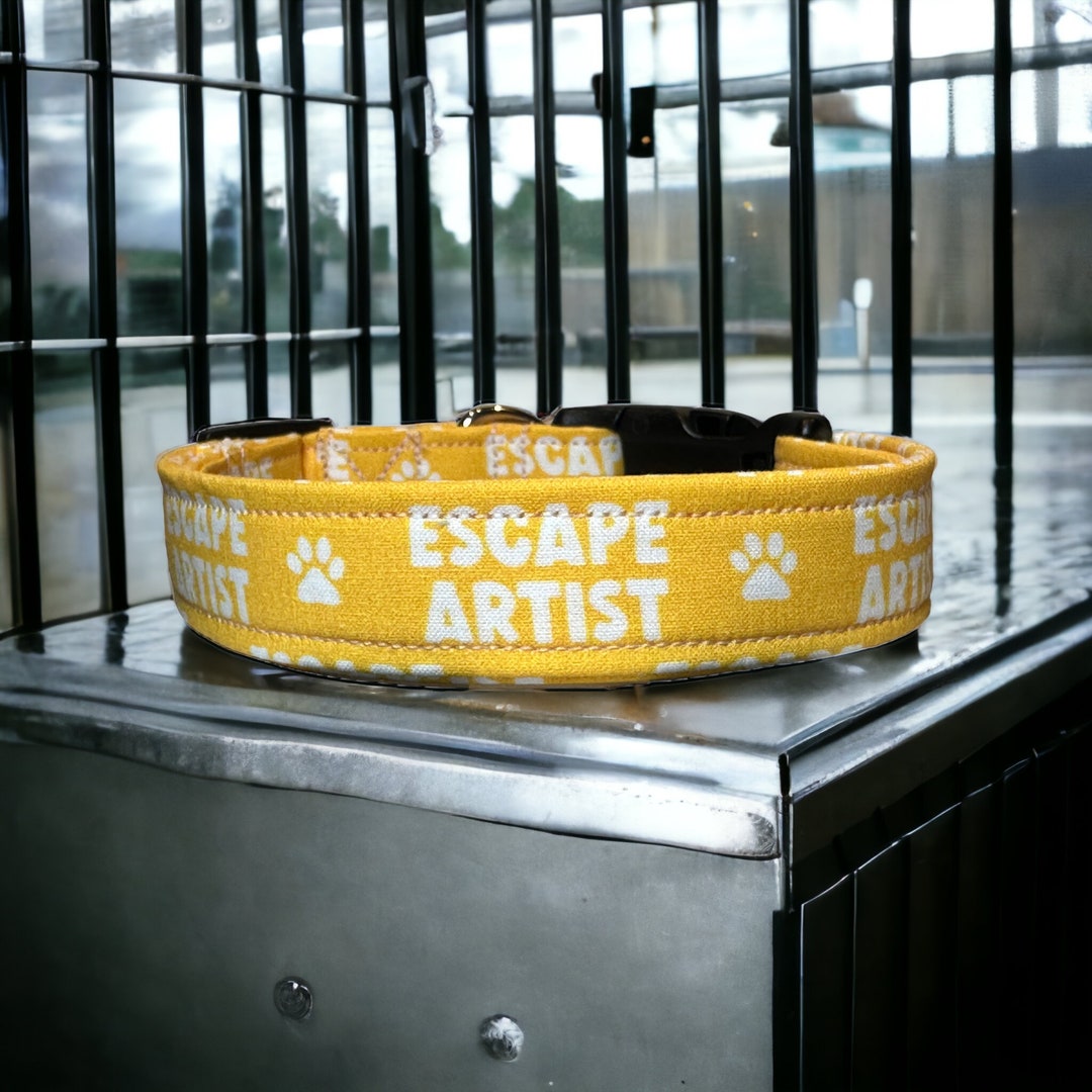 Escape Artist Dog Collar: Funny Yellow Handmade Collar - Etsy