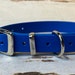 Waterproof Dog Collar Blue Dog Collar Dog Collar Buckle Dog - Etsy