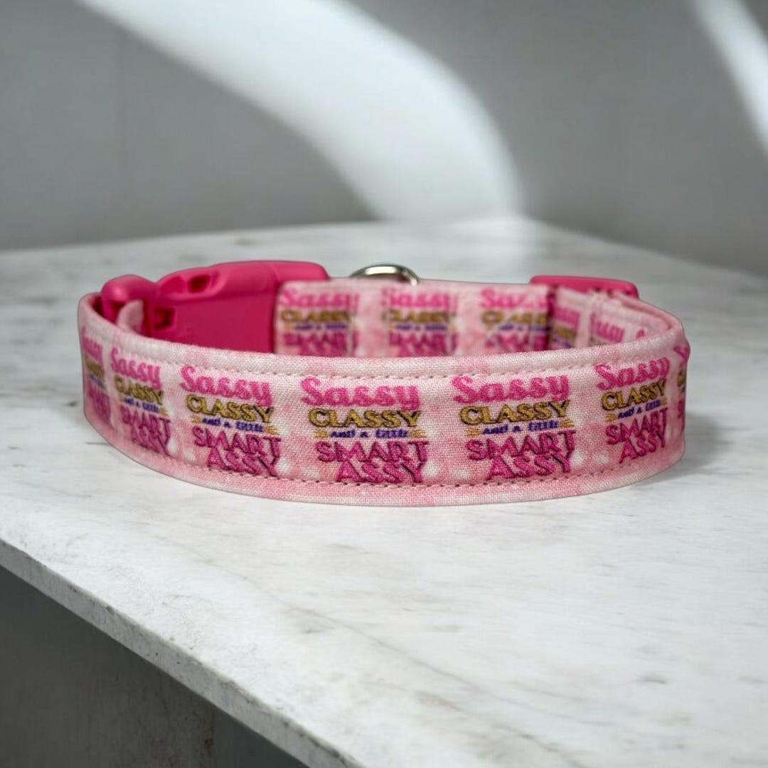 Sassy Classy Smart Assy Dog Collar: Handmade Adjustable Collar Handmade ...