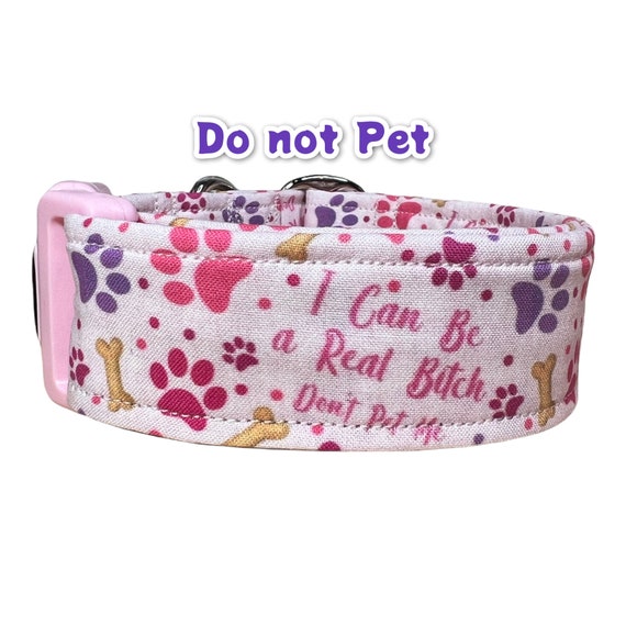 Funny Dog Collar Cuss Word Dog Collar Wide Dog Collar Side | Etsy