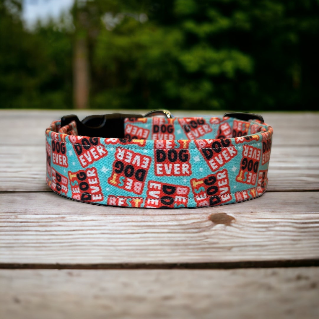 Best Dog Ever Dog Collar, Funny Dog Collar, Side Release Washable Dog ...