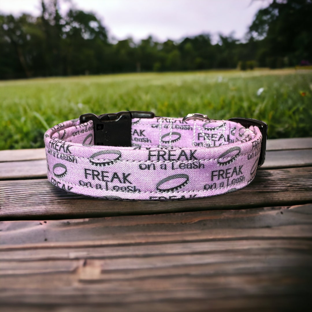 Freak on a Leash Dog Collar: Funny Adjustable Side Release Collar ...