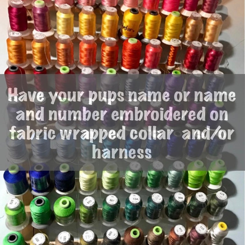 Collar Embroidery - Etsy