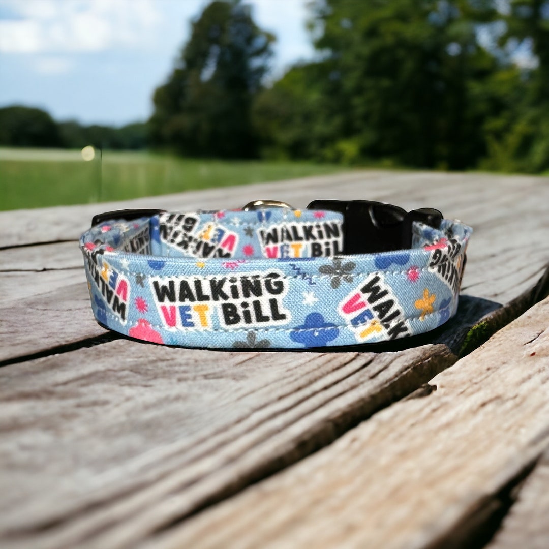 Walking Vet Bill Dog Collar, Funny Dog Collar, Swear Floral Dog Collar ...