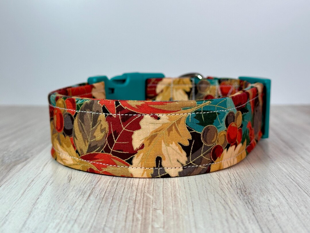 Teal and Orange Fall Leaves Dog Collar: Handmade Fabric Collar ...