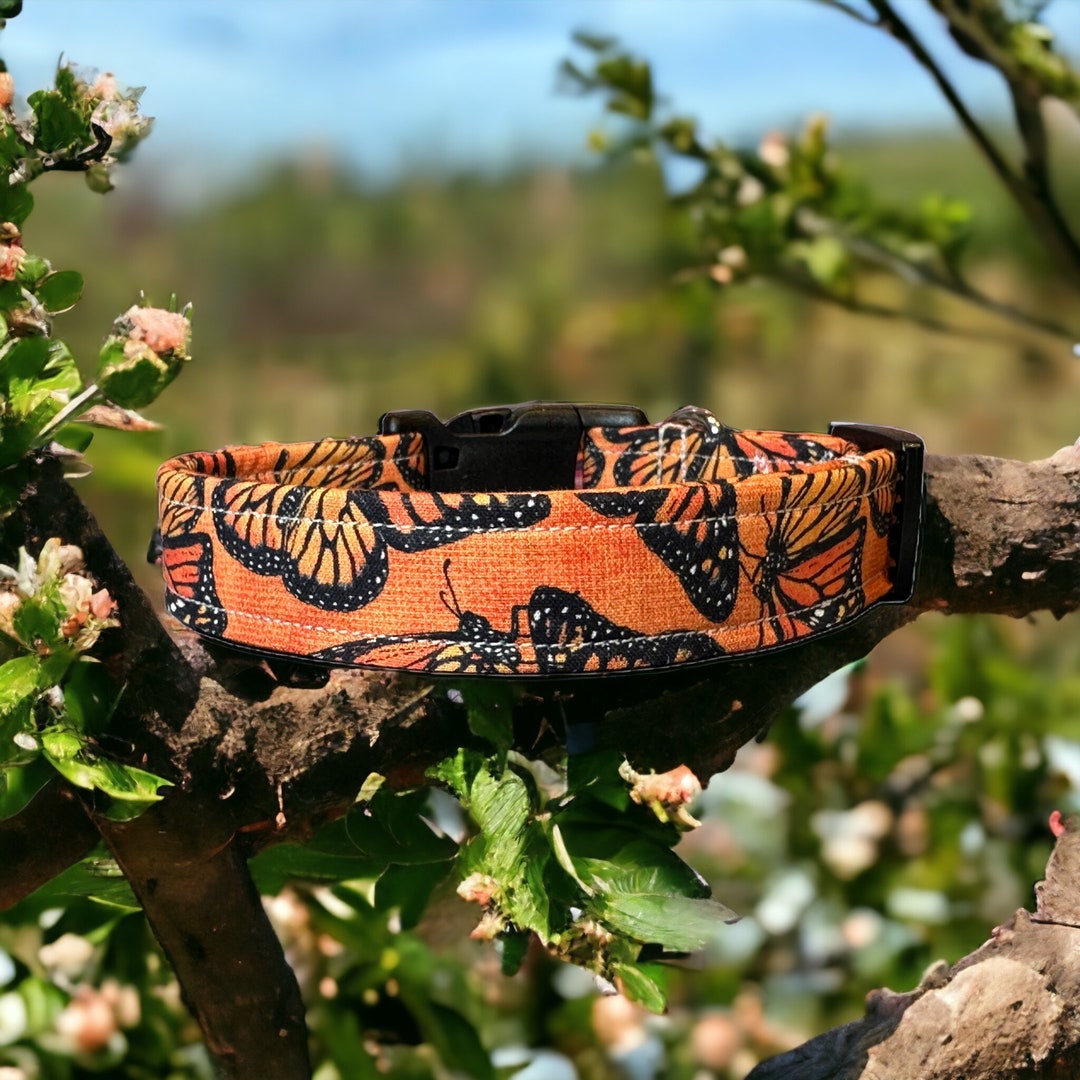 Monarch Butterfly Dog Collar, Handmade Dog Collar, Orange and Black ...