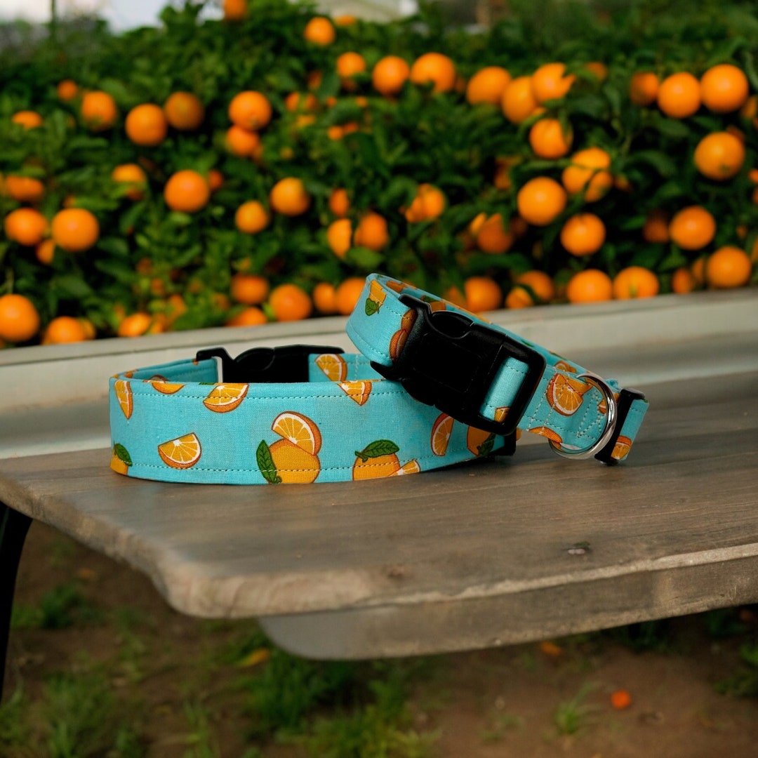Handmade Orange Fruit Dog Collar: Adjustable Side Release, Funny Dog ...