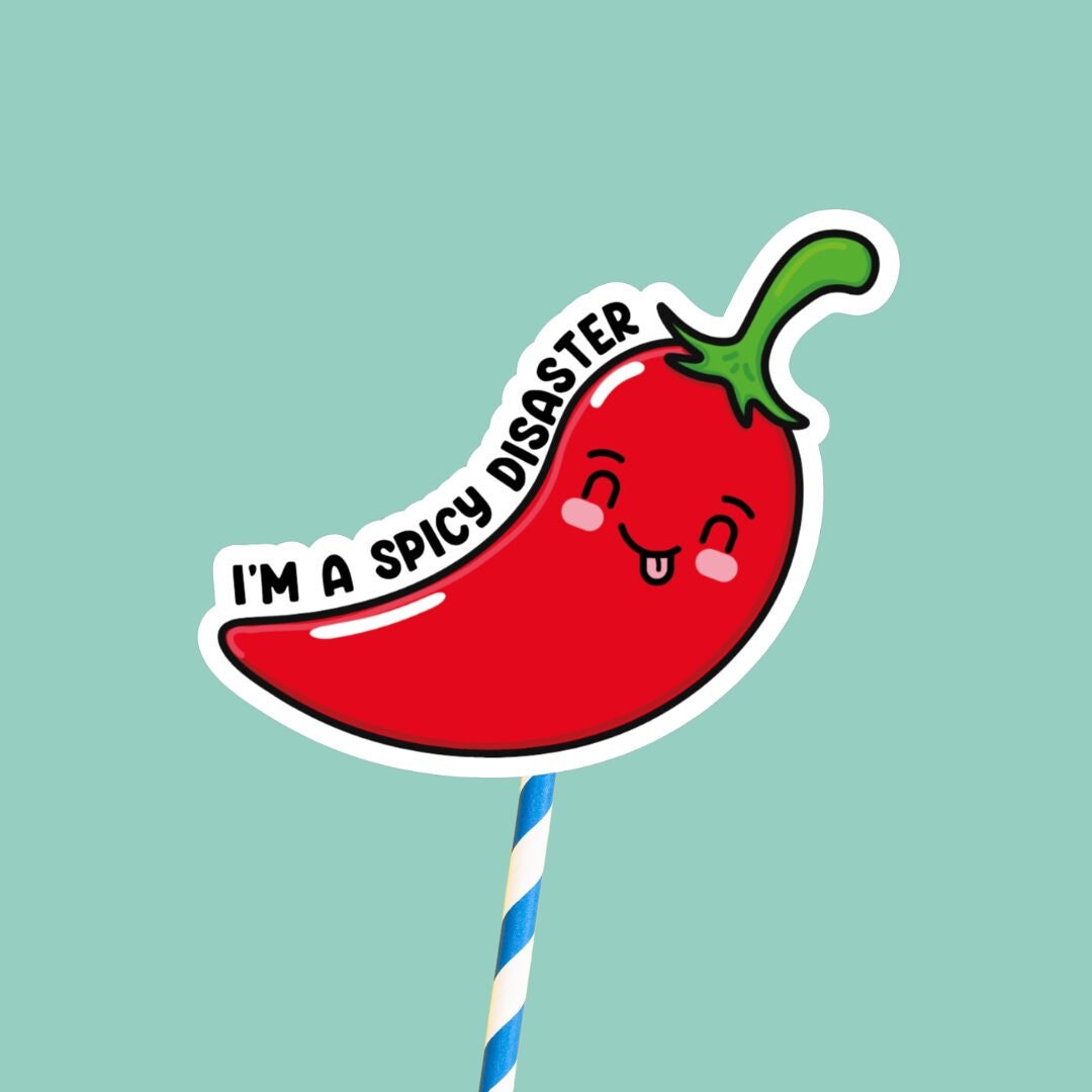 I'm A Spicy Disaster Sticker, Funny Sarcastic Vinyl Decal - Etsy
