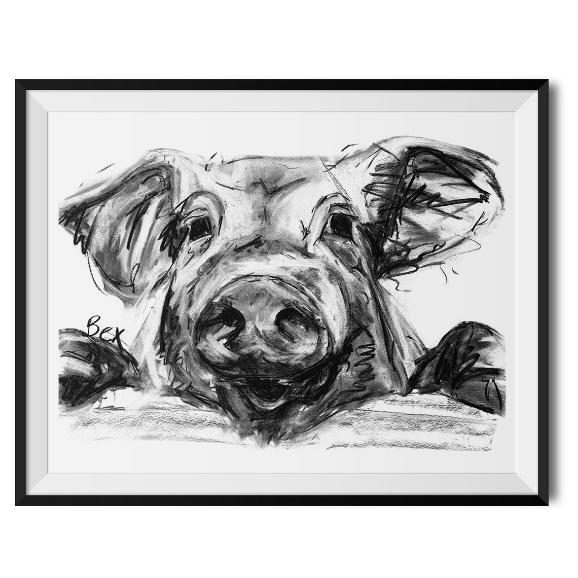 Pig Art Print Pig Wall Art Pig Charcoal Illustration Pig - Etsy