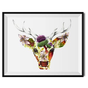 Floral Stag Print, Scottish Thistle Stag, Flowers With Deer Art Print ...