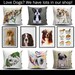 Springer Spaniel Vegan Cushion by Sharon Salt Print Not 3D - Etsy