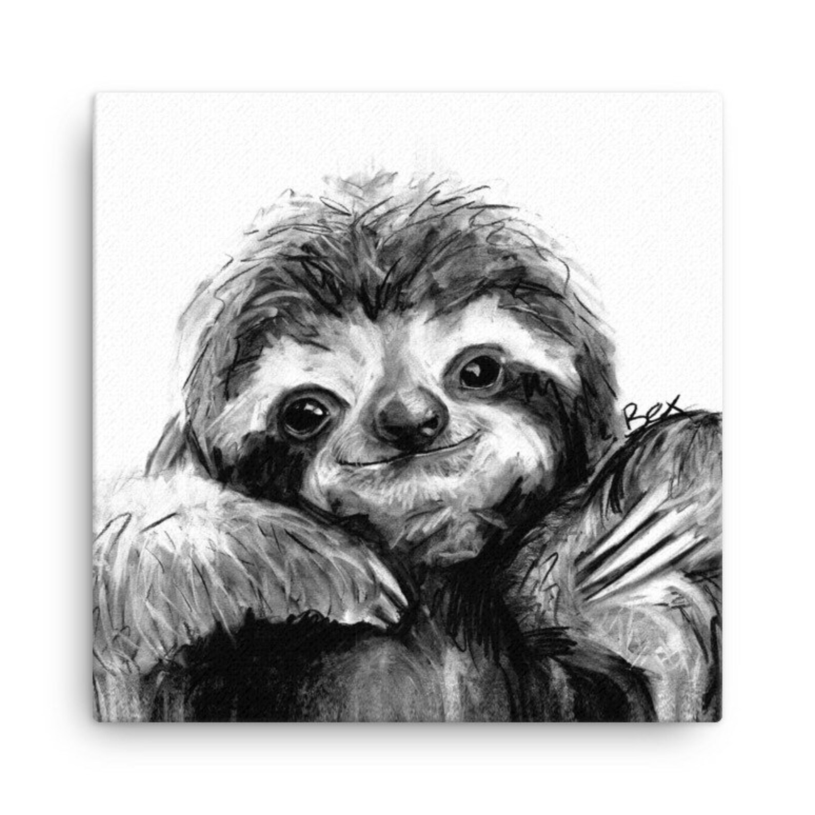 Cute Sloth Canvas Mini by Bex Williams Lazy Sloth Boxed - Etsy