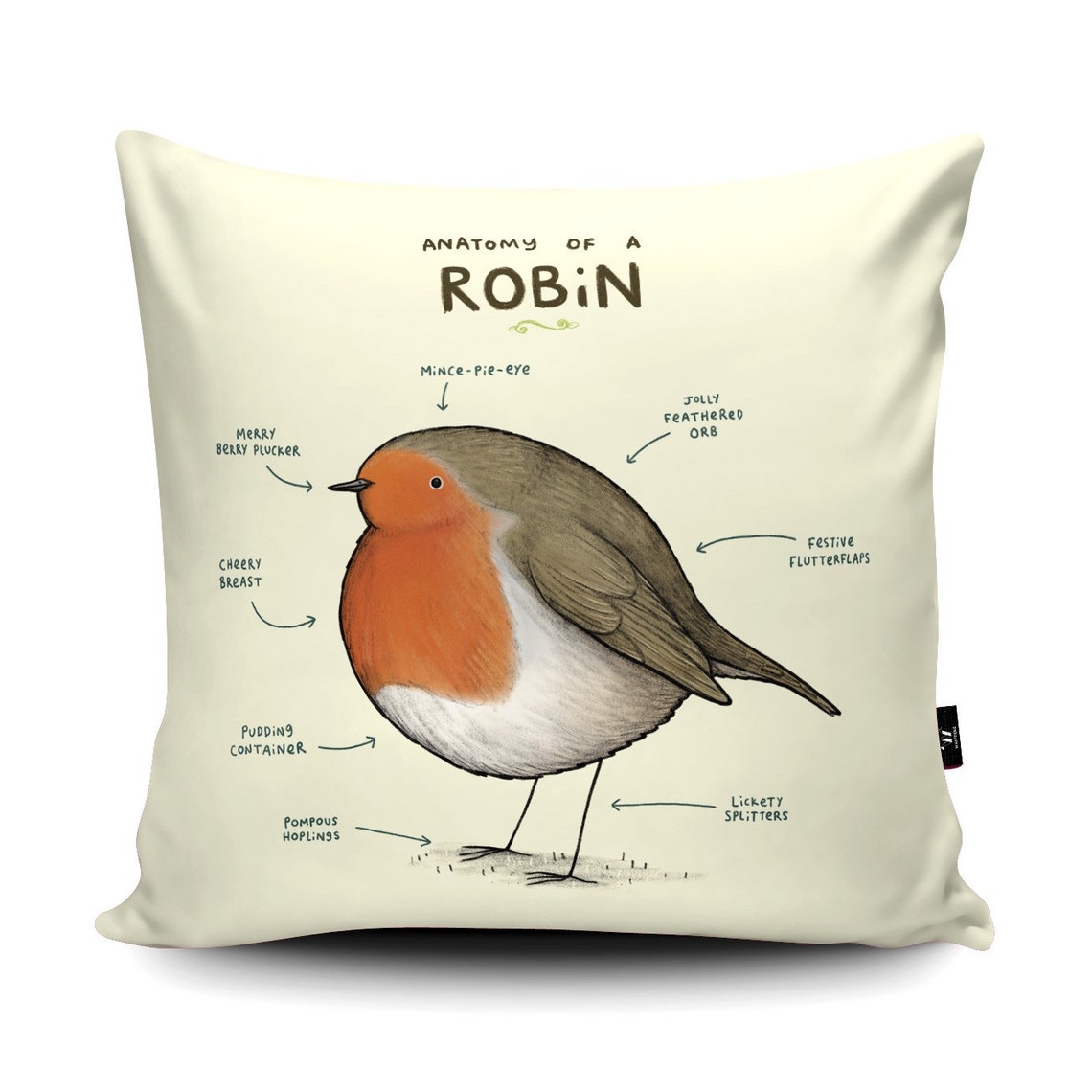 Anatomy of A Robin Pillow by Sophie Corrigan Cute Robin | Etsy