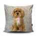 Cockapoo Vegan Cushion by Sharon Salt Print Not 3D Cockapoo Throw ...