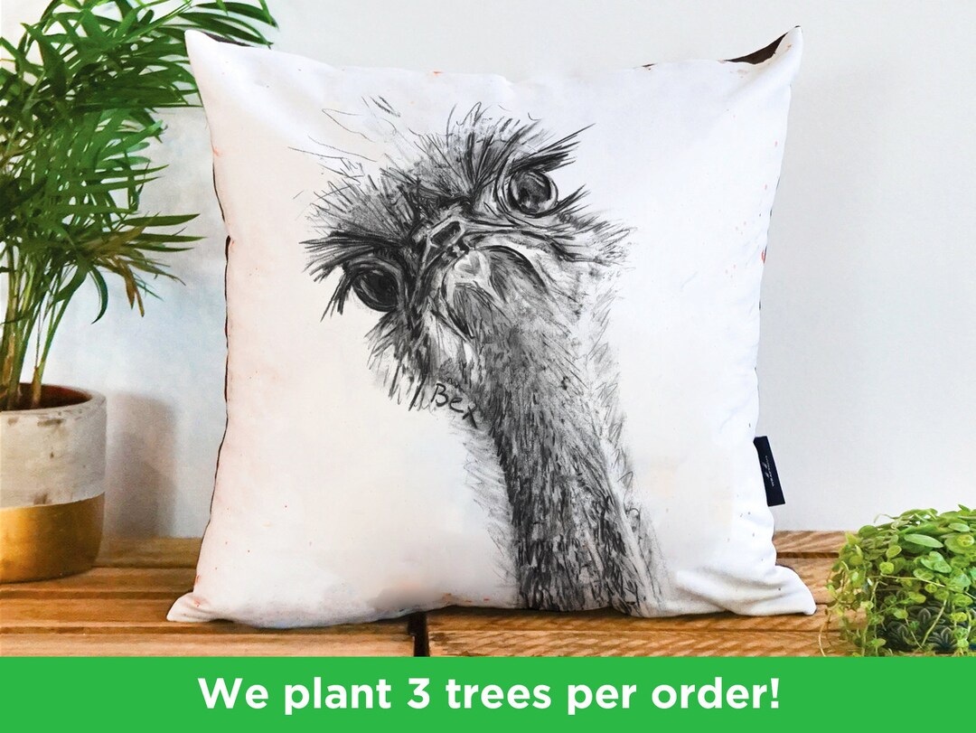 Charcoal Ostrich Cushion by Bex Williams Ostrich - Etsy