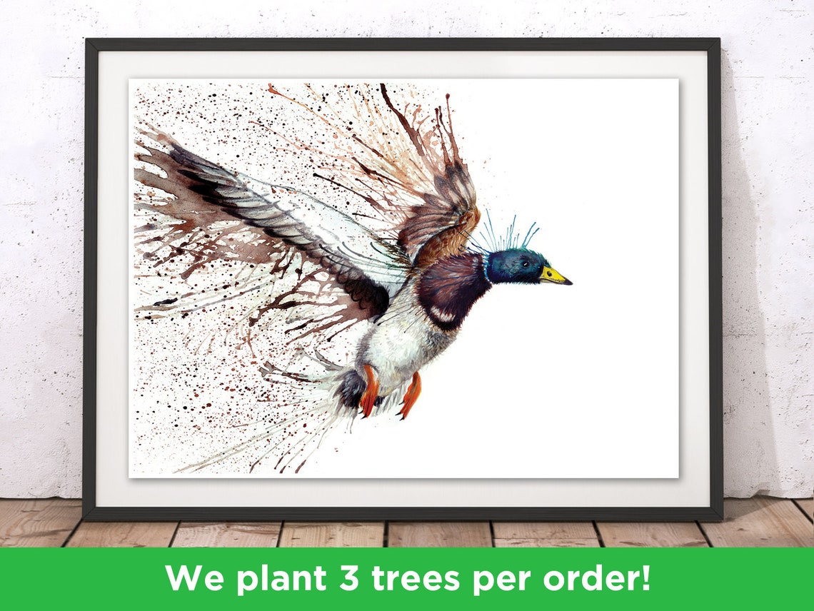 Bird Art Print Duck Illustration Mallard Pondlife Wall Art - Etsy