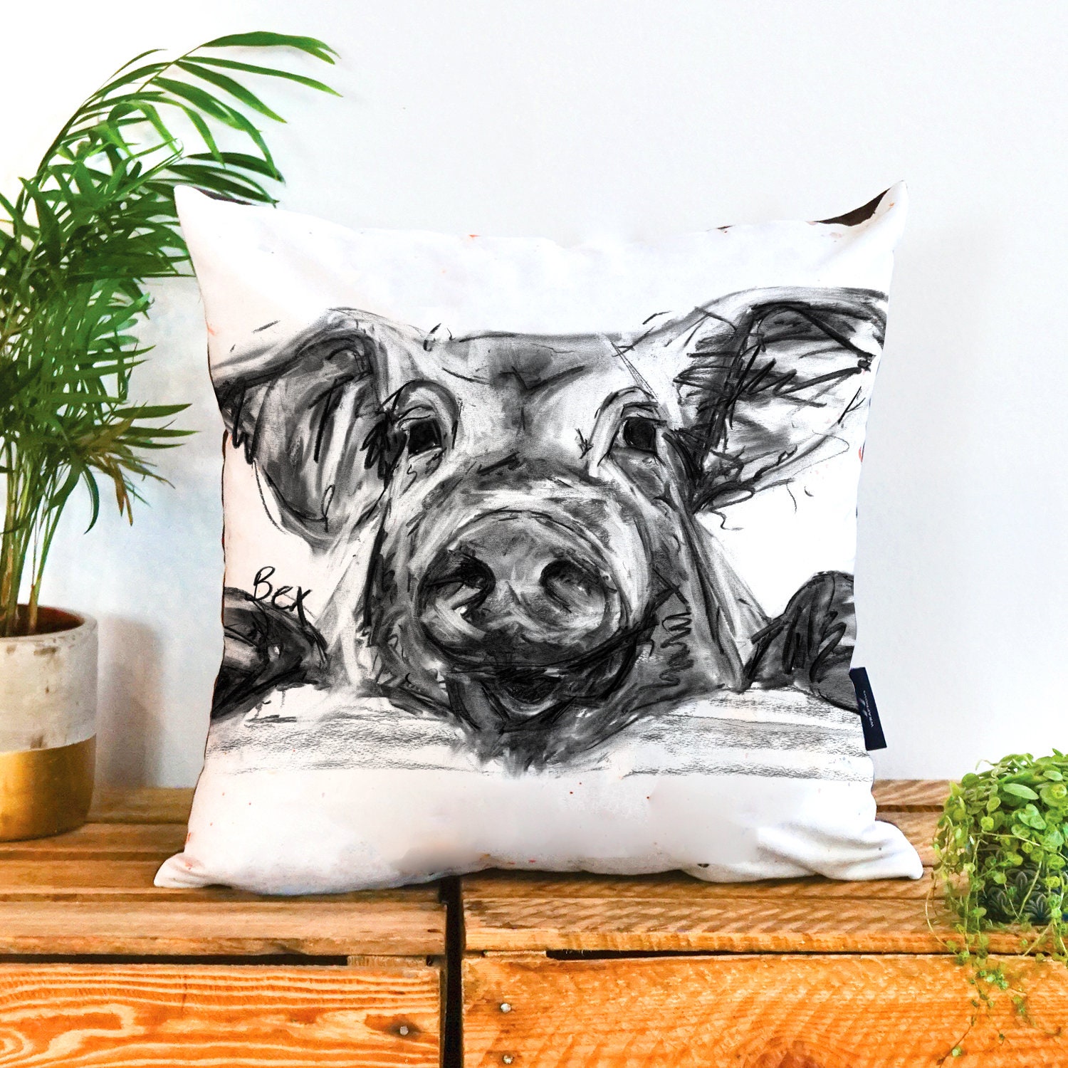 Charcoal Pig Vegan-Suede Cushion by Bex Williams Cute Pig | Etsy