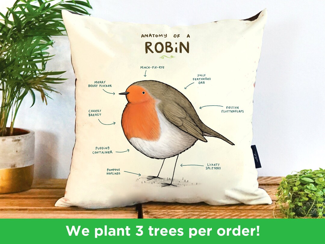 Anatomy of A Robin Pillow by Sophie Corrigan Cute Robin Vegan Gift ...