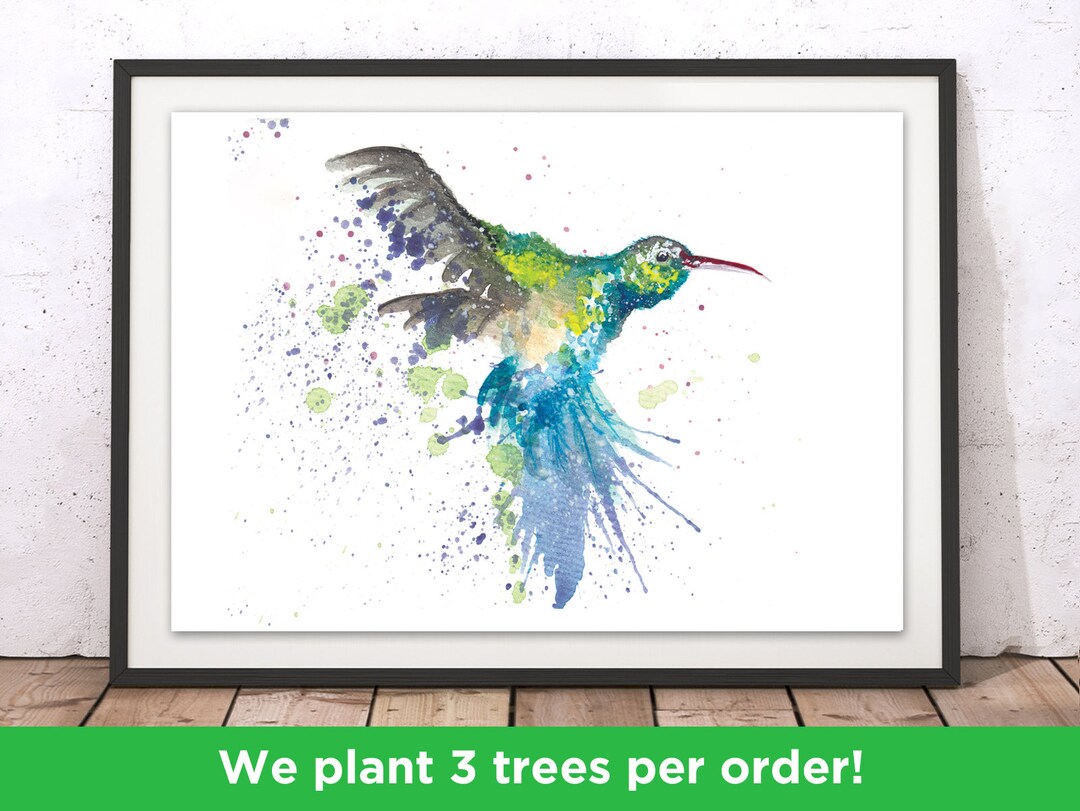 Hummingbird Art Print Bird Illustration Watercolour Painting - Etsy