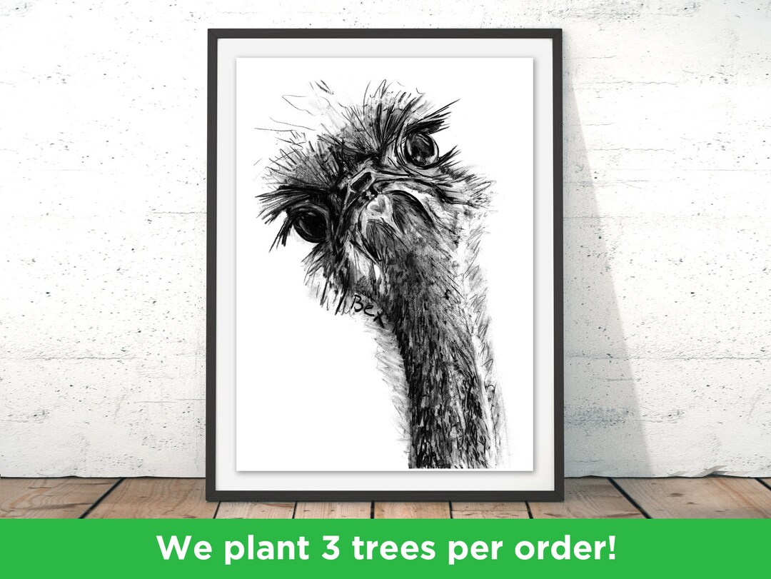 Ostrich Print by Bex Williams, Ostrich Wall Art, Ostrich Illustration ...