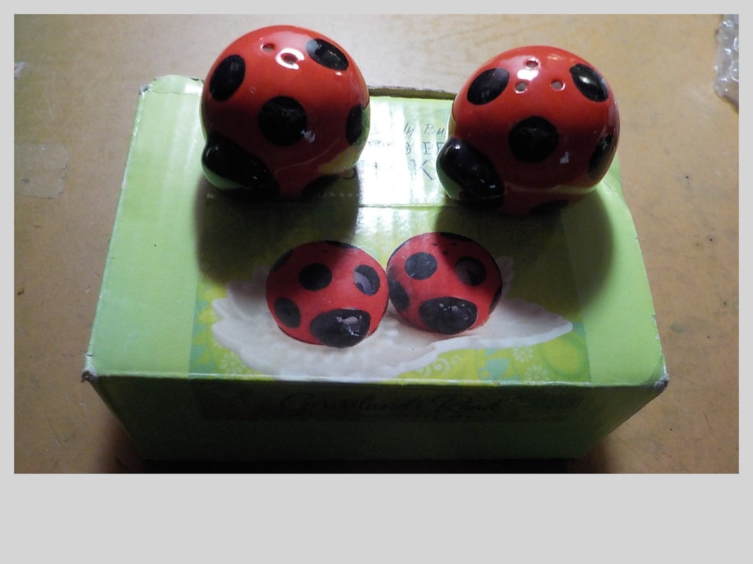 Porcelain Lady Bug Out On A Whim Salt & Pepper Set Free USA Shipping ...