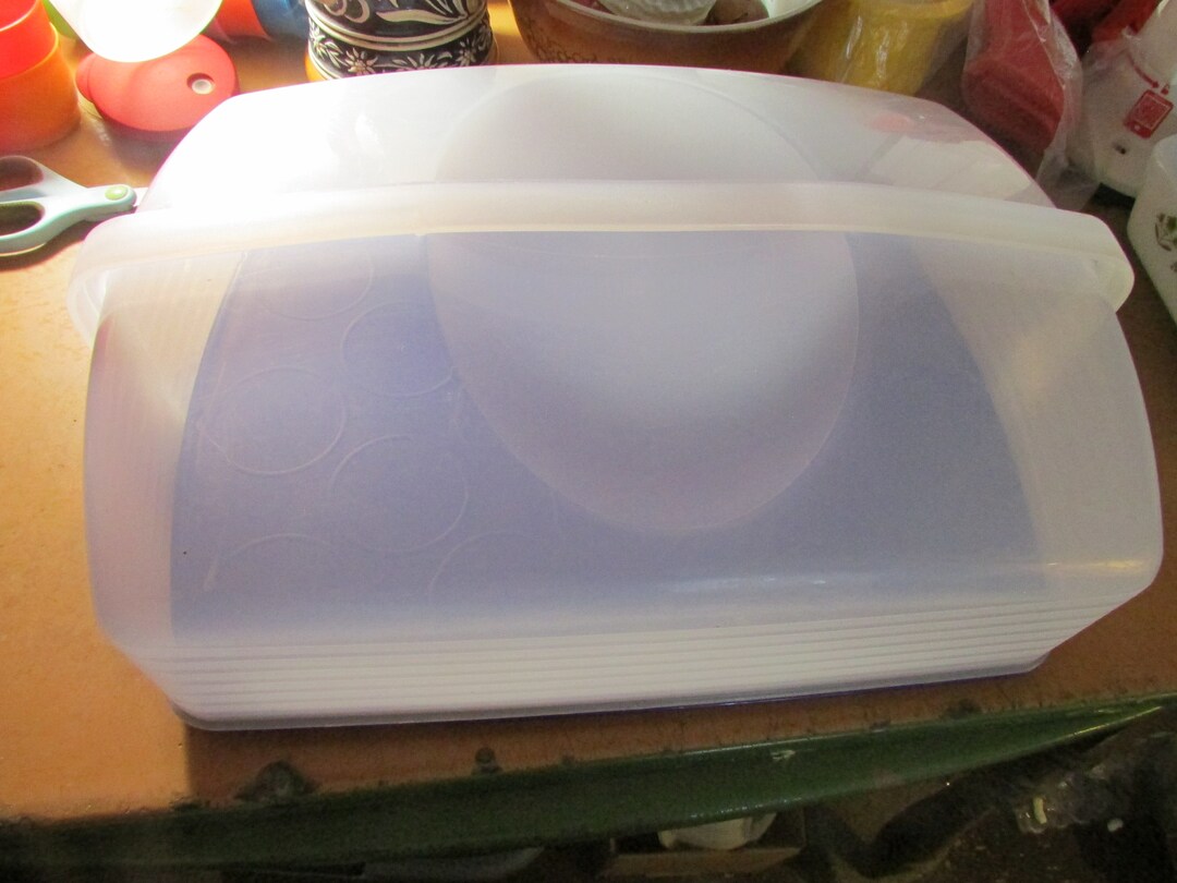 Tupperware Rectangle Bake N Take Cake Cupcake Carrier Blue Clear 3861A ...
