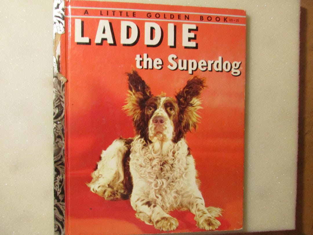 A Little Golden Book Laddie the Superdog Board Book Free USA Shipping ...