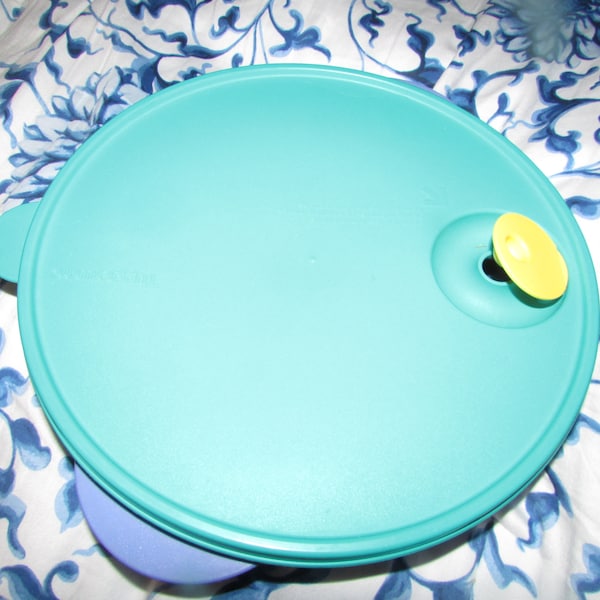 Tupperware Divided Microwave - Etsy