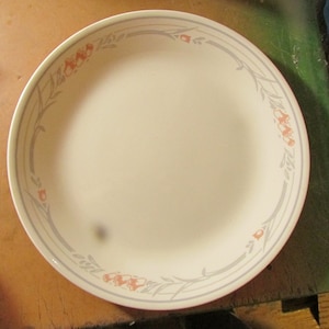 CORELLE CORNING Sandstone Tulip Rose Pattern Set of 7 Dinner Plates 10 ...