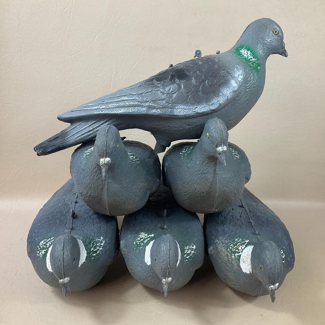 1 X Retro Wood Pigeon Lure-decoy C1970s. Plastic Wood Pigeon Wildlife ...
