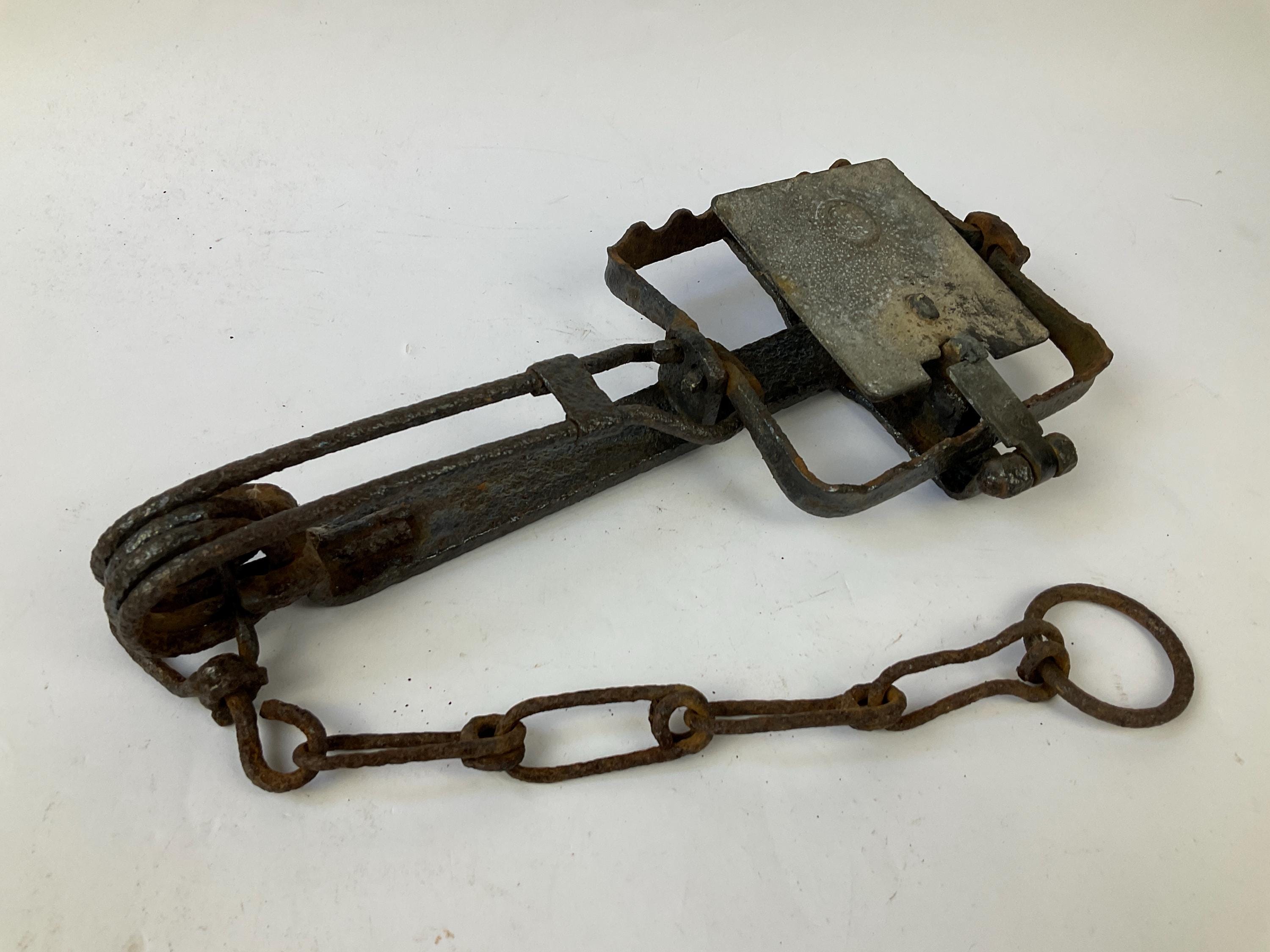 Rare Edwardian Gin or Leg Hold Animal Trap C1920s. Antique Gin Trap ...