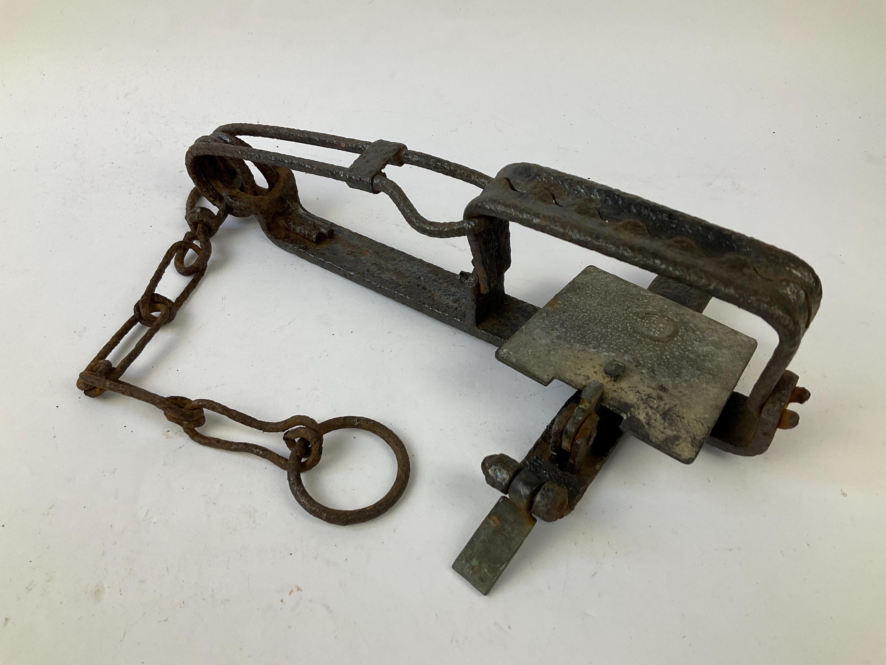 Rare Edwardian Gin or Leg Hold Animal Trap C1920s. Antique Gin Trap ...